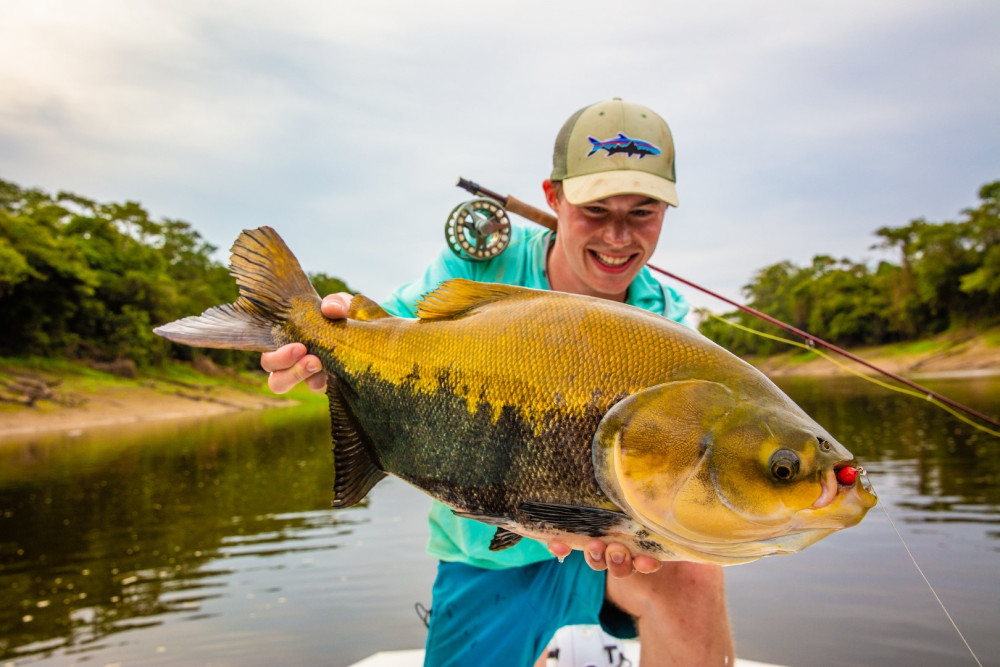 Pirarucú | Untamed Angling