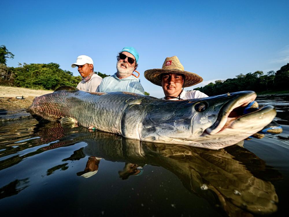 Giant Arapaima Fly Fishing in Amazon | Pirarucú Lodge