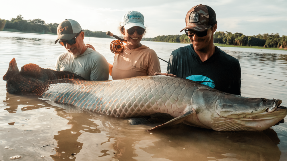 Amazon Fly Fishing Adventures: Kendjam, Rio Marié & Piraruc