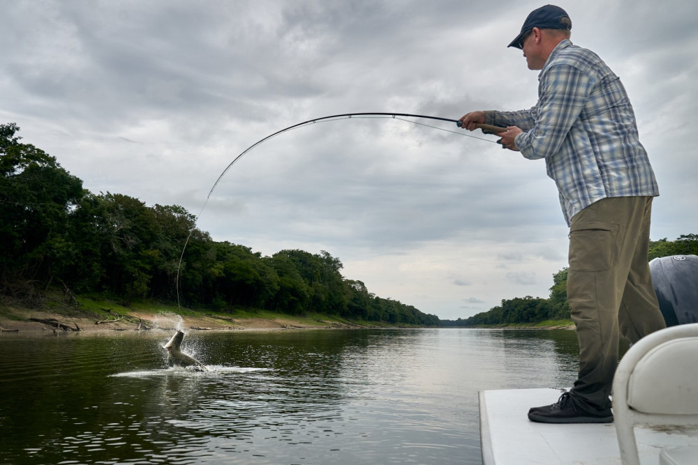 Giant Arapaima Fly Fishing in Amazon | Pirarucú Lodge