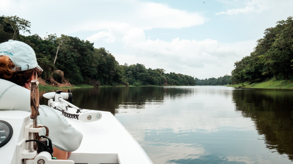 Giant Arapaima Fly Fishing in Amazon | Pirarucú Lodge