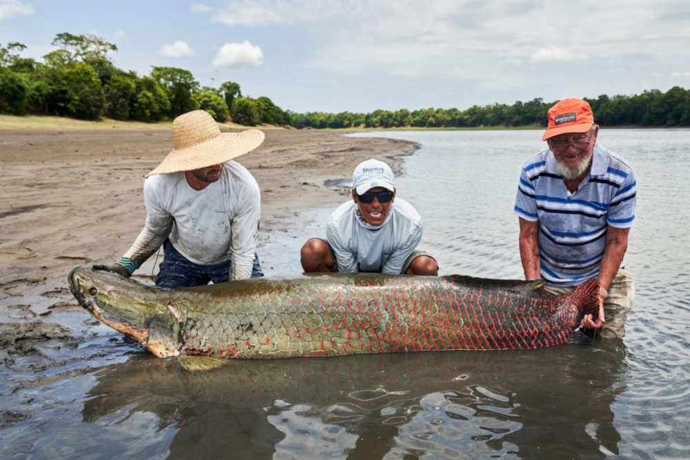 Monsters Award at Pirarucú Lodge: Giant Arapaima Hall of Fa