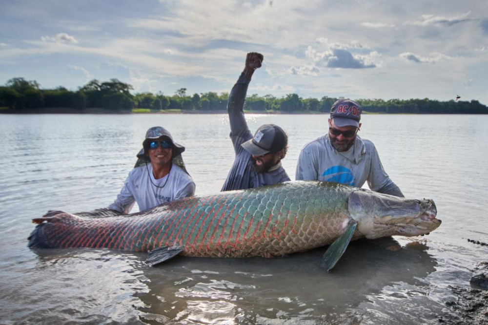 Monsters Award at Pirarucú Lodge: Giant Arapaima Hall of Fa