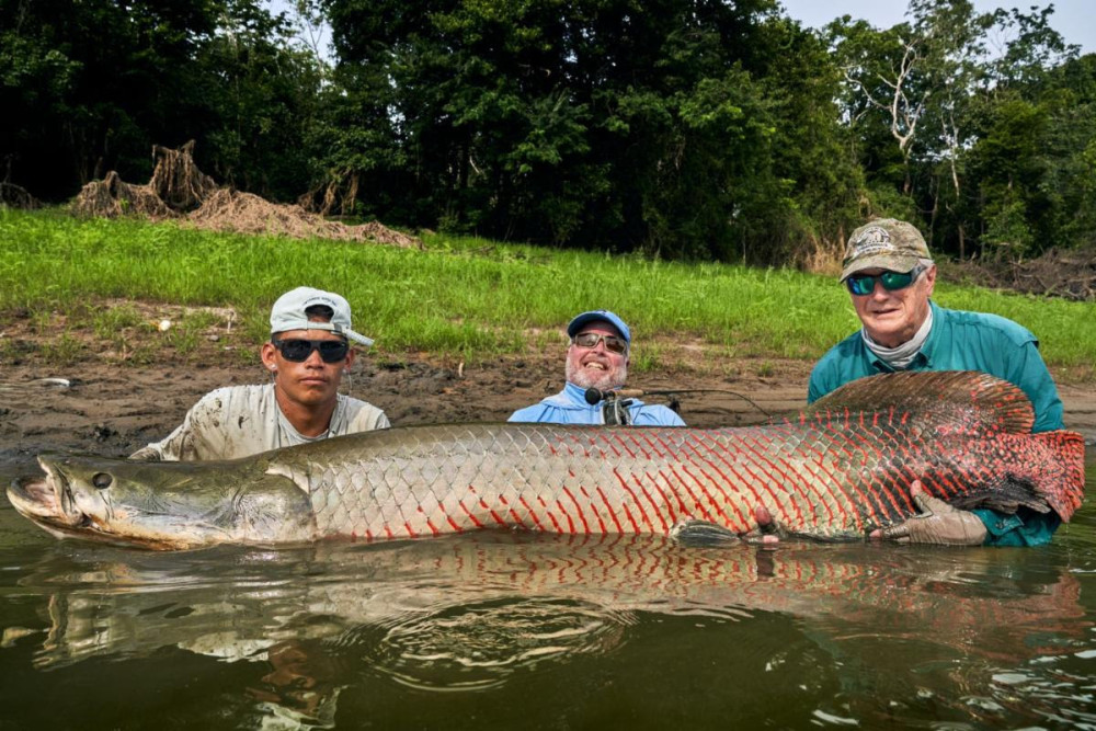 Monsters Award at Pirarucú Lodge: Giant Arapaima Hall of Fa