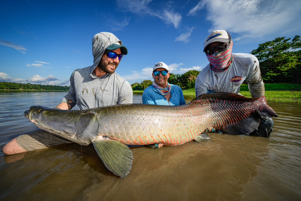 Pirarucú: Giant Arapaima Fishing in the Amazon