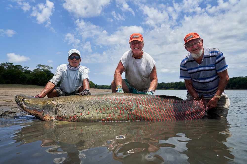 The Fishing | Pirarucú