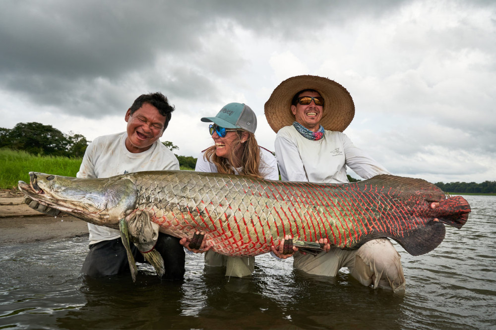 Pirarucú: Giant Arapaima Fishing in the Amazon