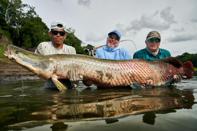 Pirarucu Season 2022 | Fishing report week 6 | Pirarucú