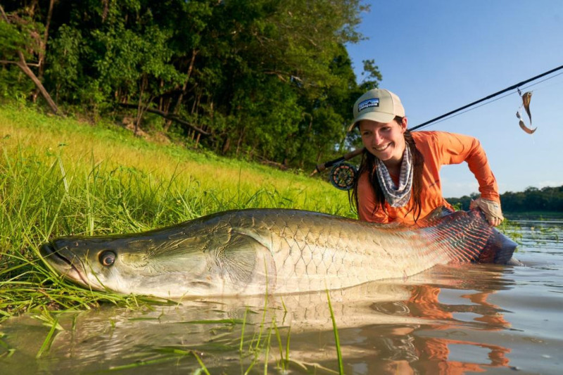 Pirarucu Season 2022 | Fishing report week 8 | Pirarucú